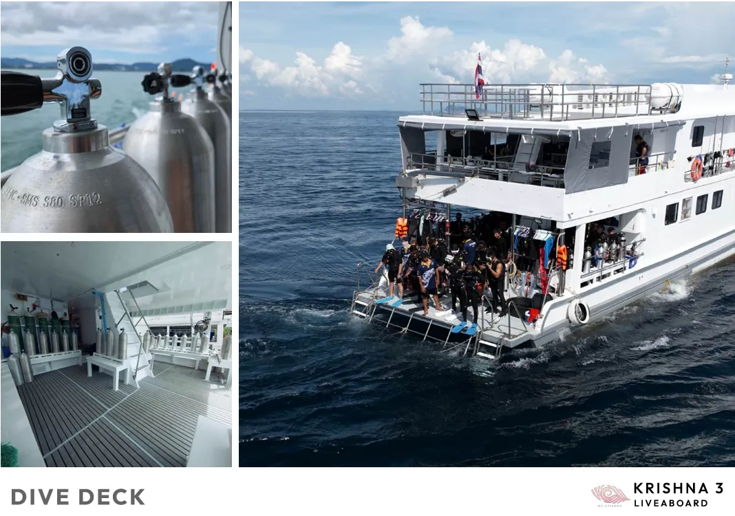 Krishna 3 Liveaboard Thailand | Book now - Giant Stride